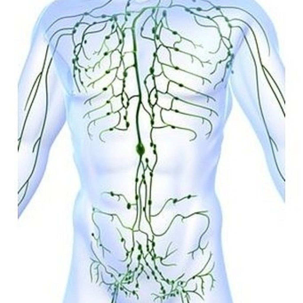 Drenajul limfatic » Centrul de Sanatate Galati » Masaj Galati